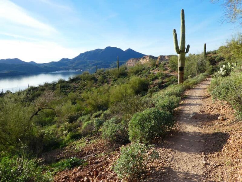 Mesa: Saguaro Lake View Hike - FAQ