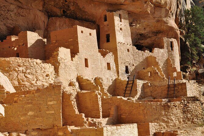 Mesa Verde Highlights Tour - The Experience: What Travelers Say