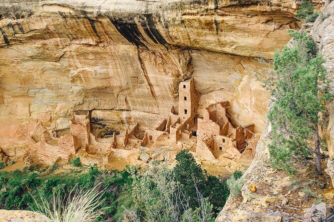 Mesa Verde National Park Half Day Tour - Key Points