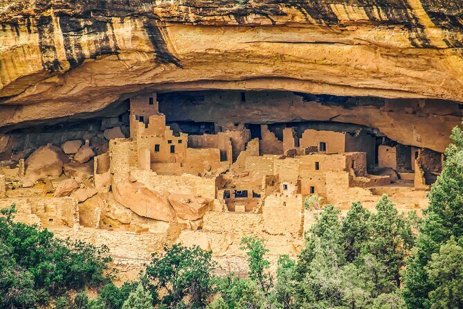 Mesa Verde National Park Half Day Tour - A Deep Dive into the Experience