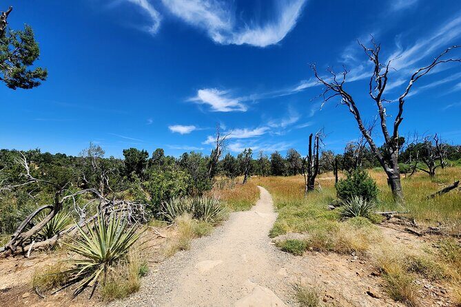 Mesa Verde National Park Self-Guided Audio Tour - Who Will Enjoy This Tour