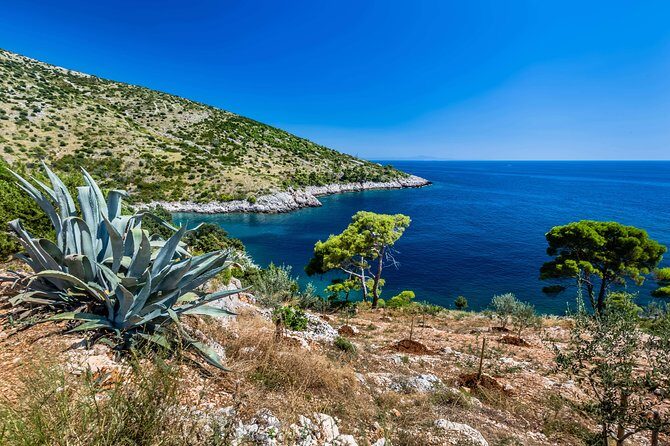 Mesmerizing Hvar speed boat tour with optional wine tasting - Practical Details & Considerations