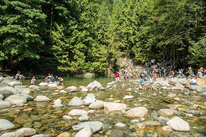 Mesmerizing Nature Walk in Lynn Canyon Park - Detailed Review of the Lynn Canyon Park Tour