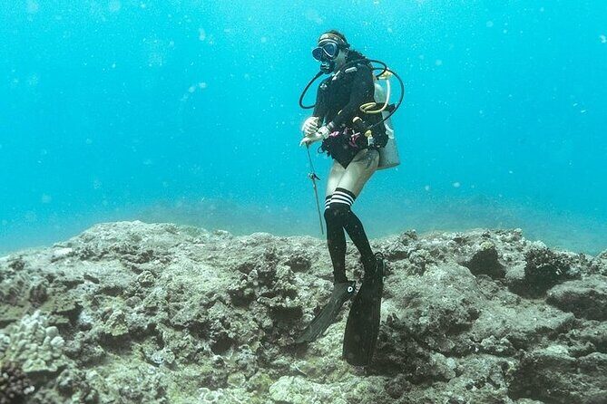 Mesmerizing Private SCUBA Diving Charter in Paradise from Waikiki - Introduction
