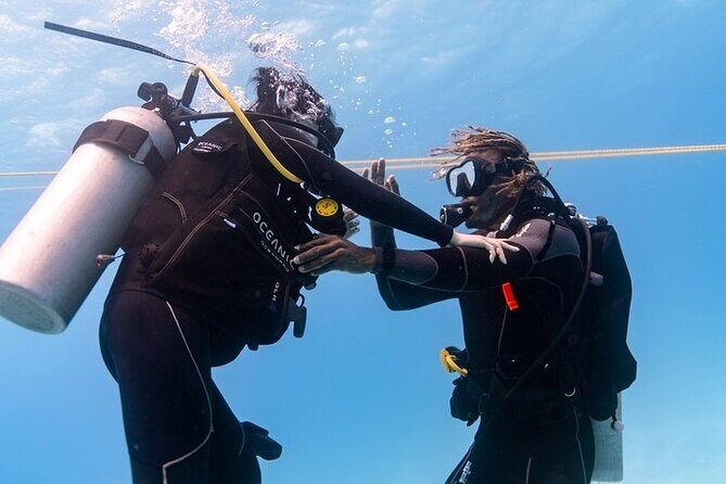 Mesmerizing Private SCUBA Diving Charter in Paradise from Waikiki - Final Thoughts