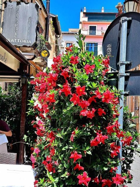 Messina, Savoca, Taormina e Castelmola - FAQ