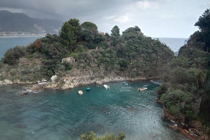 Messina Shore Special Tour of Taormina and Castelmola plus Panoramic Lunch - Key Points:
