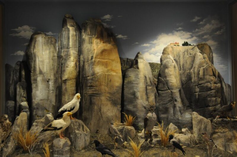 Meteora: Natural History Museum and Mushroom Museum Tour - Key Points