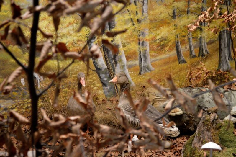 Meteora: Natural History Museum and Mushroom Museum Tour - Who Will Appreciate This Tour?