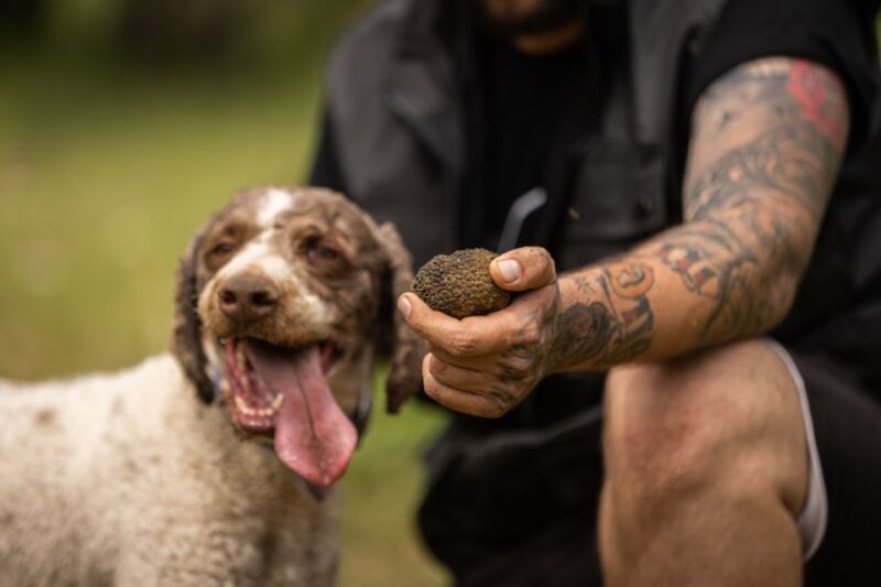 Meteora Truffle Hunting Experience with Lunch & Museum Visit - A Detailed Look at the Experience: What You Can Expect