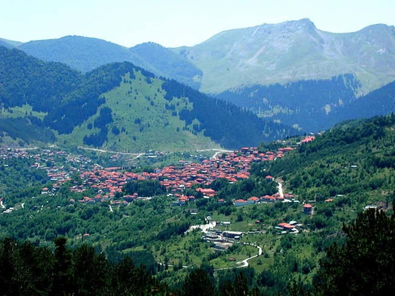 Metsovo: Private Guided City Tour - Key Points