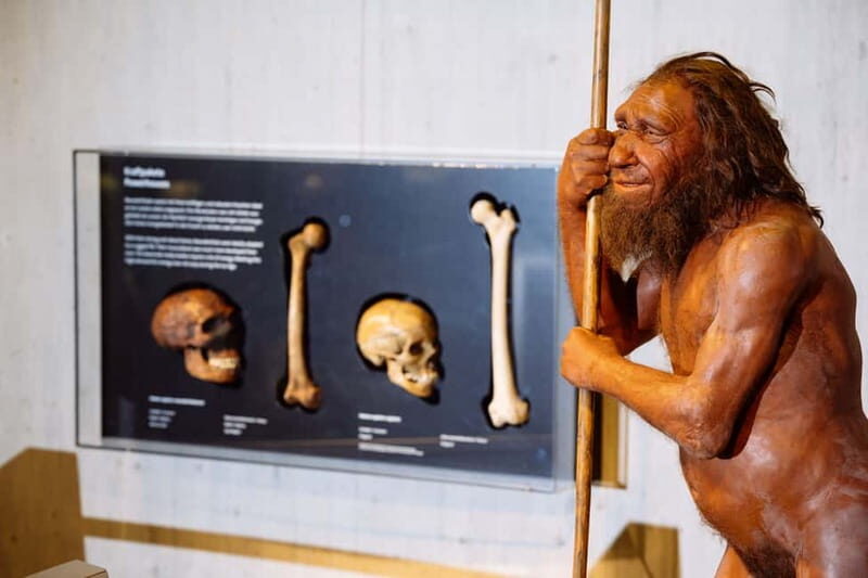 Mettmann: Neanderthal Museum Admission Ticket - The Sum Up: Who Will Love the Neanderthal Museum?