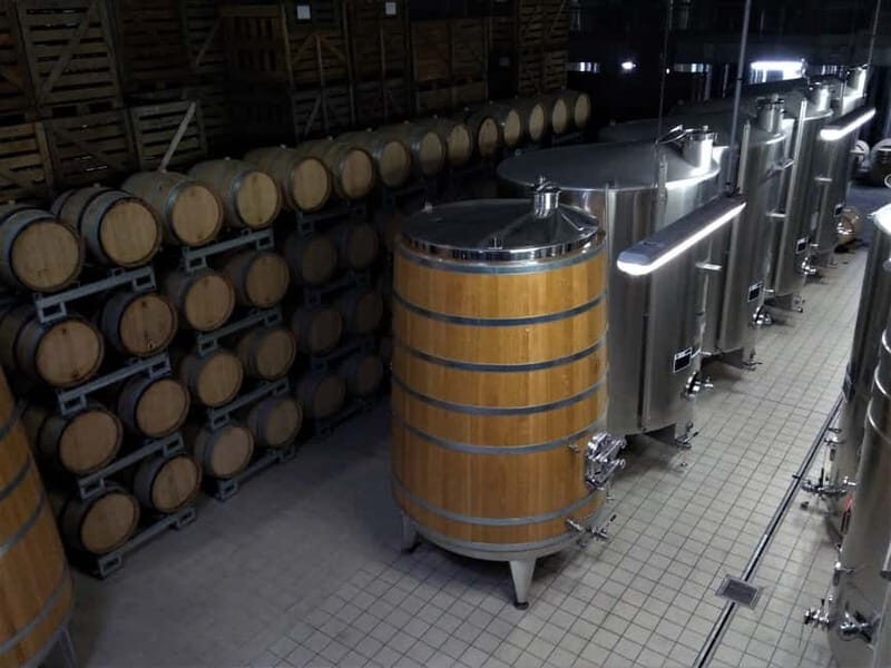 Meunier Champagne Experience tour - Passy-Grigny - Who Is This Tour Best Suited For?