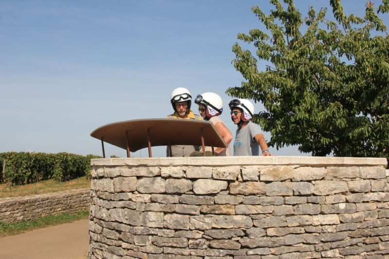 Meursault: Tour of the Vineyards on Motorbike with Sidecar - Who Will Love This Tour?
