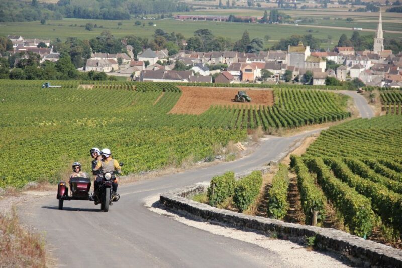 Meursault: Tour of the Vineyards on Motorbike with Sidecar - The Sum Up