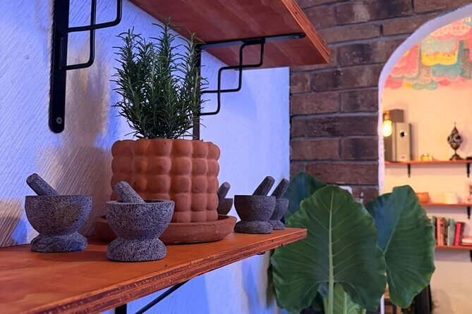 Mexican Mixology Workshop with Panoramic View in Coyoacán - A Closer Look at the Experience