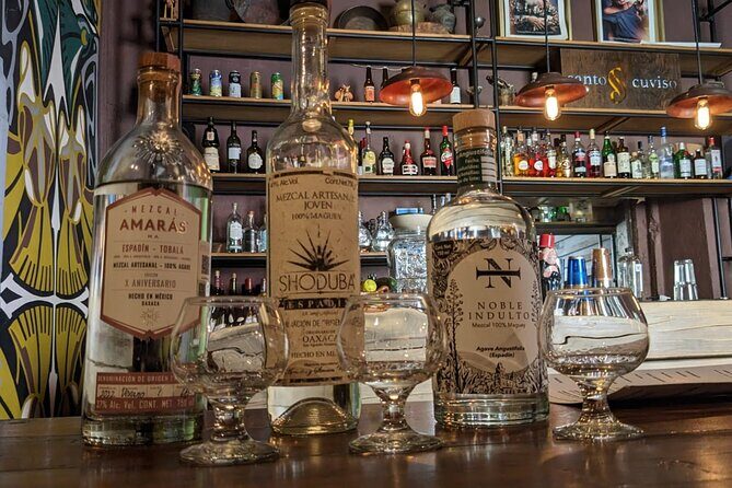 Mexican Spirits Tasting: Experience the Essence of Tradition - An Authentic Look at Mexican Spirits