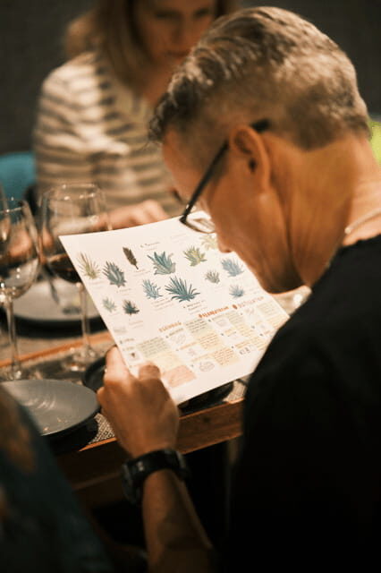Mexican Spirits Tasting: Experience the Essence of Tradition - Who Will Benefit Most?