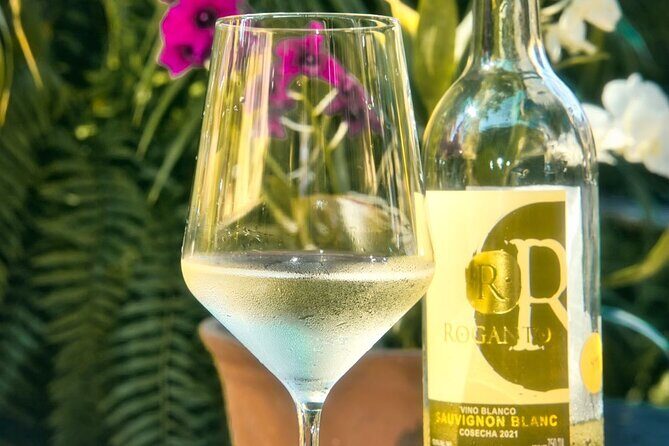 Mexican Wine Tasting & Aroma Sensory Experience - Who Will Love This Tour?