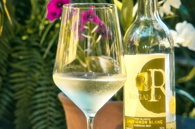 Mexican Wine Tasting & Aroma Sensory Experience - Frequently Asked Questions