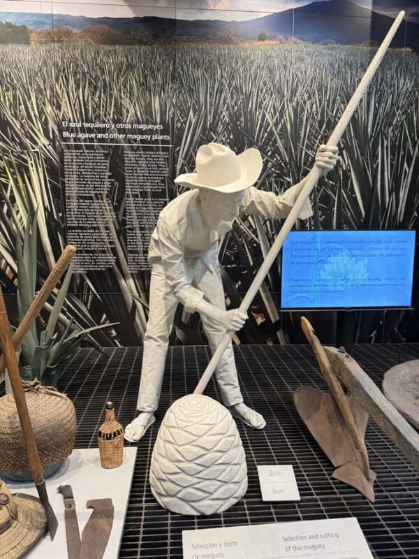 Mexico City: Agave Museums, Tastings and Mariachi Night Tour - FAQs