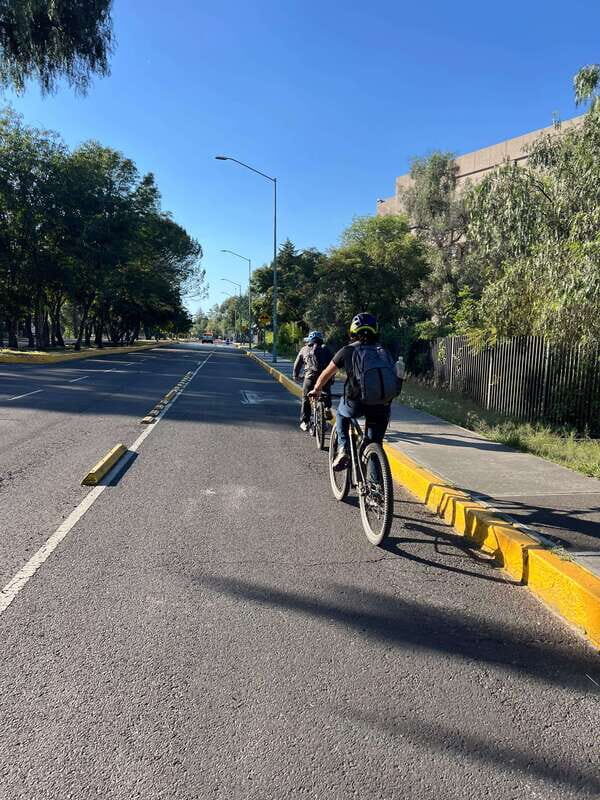 Mexico City: Bike, Cannabis, Nature, Food, Culture and History. - Price & Value