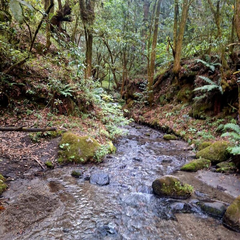 Mexico City: Bubble Waterfall Private Hike with Pickup - Practical Considerations and Tips
