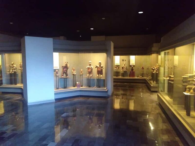 Mexico City: Chapultepec Park and Museums Walking Tour - The Experience with a Local Guide