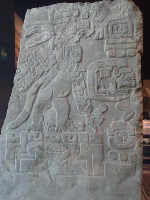 Mexico City: Chapultepec Park and Museums Walking Tour - Who Should Book This Tour?