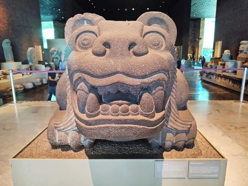 Mexico City: Chapultepec Park Bike Tour with Museums - Frequently Asked Questions (FAQs)