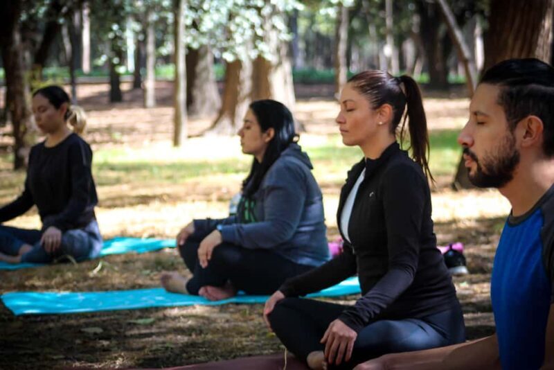 Mexico City: Chapultepec Park Yoga Class with Sound Bath - The Itinerary: What to Expect