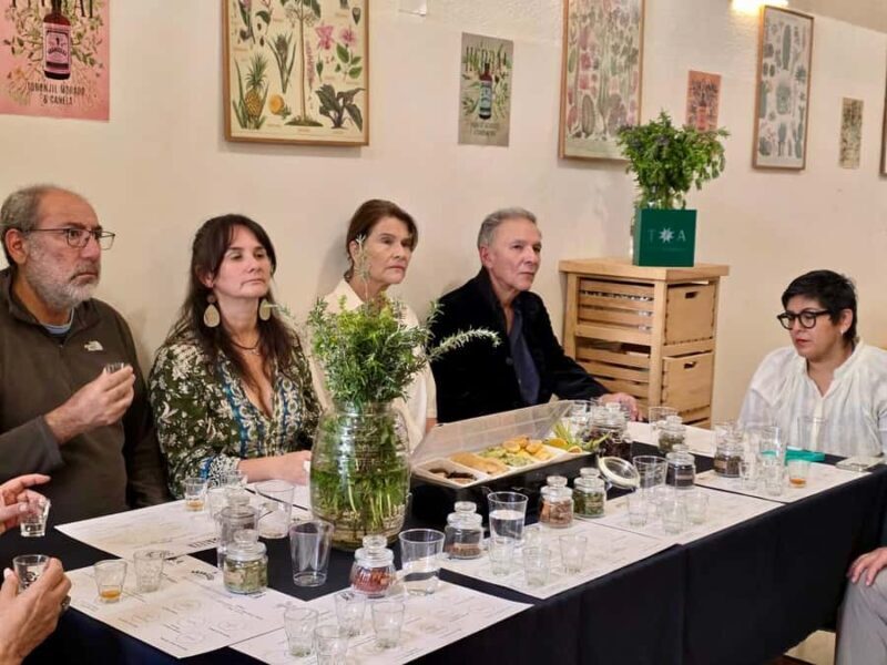 Mexico City: Cocktails Tasting, Lucha Libre & Tacos - Key Points