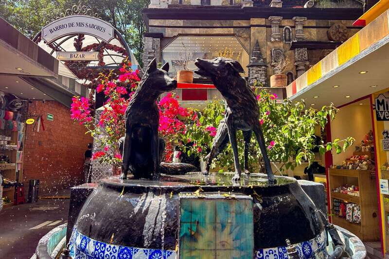 Mexico City: Coyoacan, Xochimilco & UNAM Full-Day Tour - Frequently Asked Questions