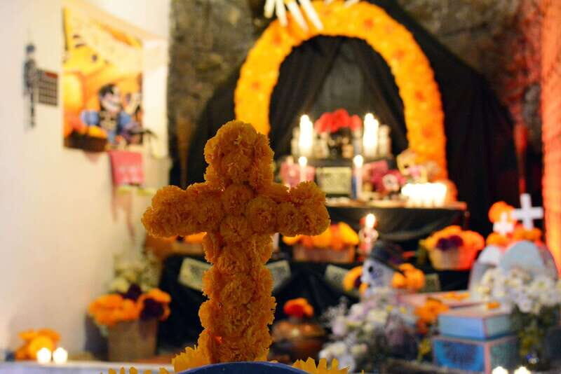 Mexico City: Day of the Dead House and craft workshop - The Experience in Detail