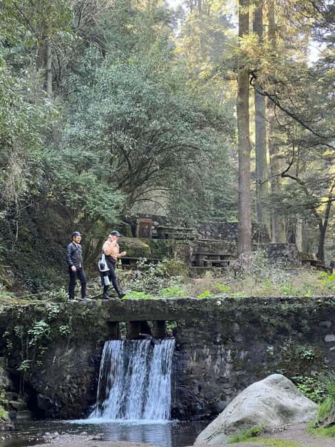 Mexico City: Desierto de los Leones Hike & Ex-Convent Tour - Food and Drink: A Taste of Local Tradition