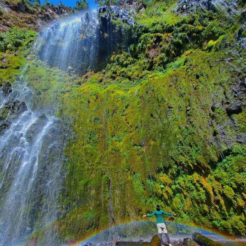 Mexico City: Diamond Waterfall Private Hiking Tour - The Sum Up