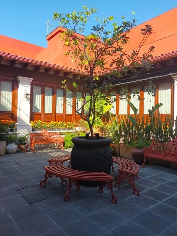 Mexico City: Entrance to the Frida Kahlo Museum, Anahuacalli Museum, and Casa Kahlo - Key Points