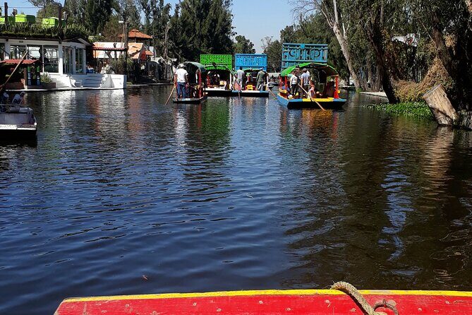 Mexico City Fast Discovery Tour with a Local Guide, Custom & Private - Practical Tips for Your Mexico City Tour