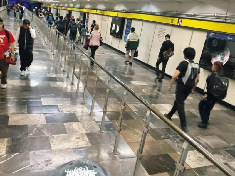 Mexico City: Fine Arts, Alabama Park, Science Museum Tour. - Key Points