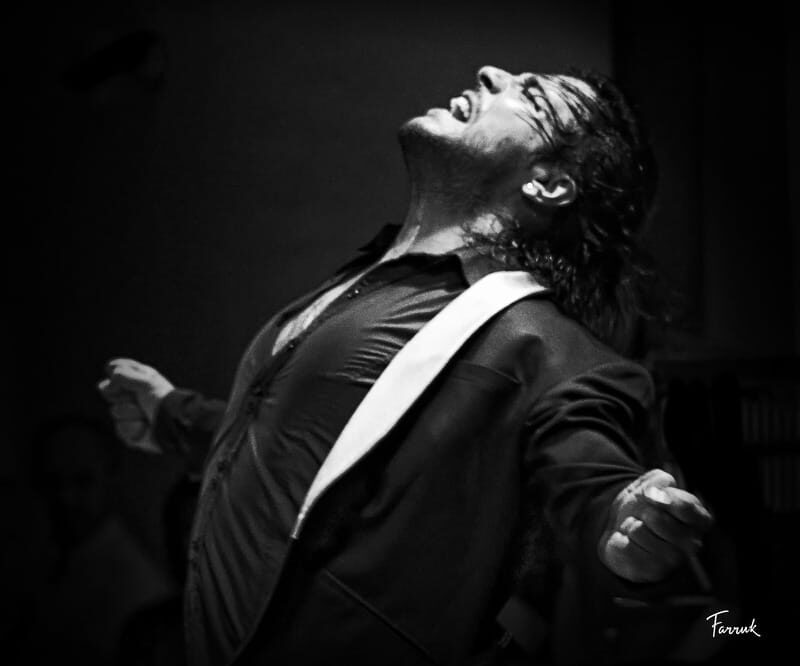 Mexico City: Flamenco Tablao Live Show & dinner - Practical Tips for Your Visit