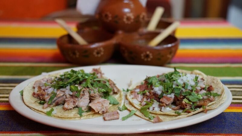 México City: Food Tour, home made food (mi casa es tu casa) - Timing, Duration, and Practical Tips