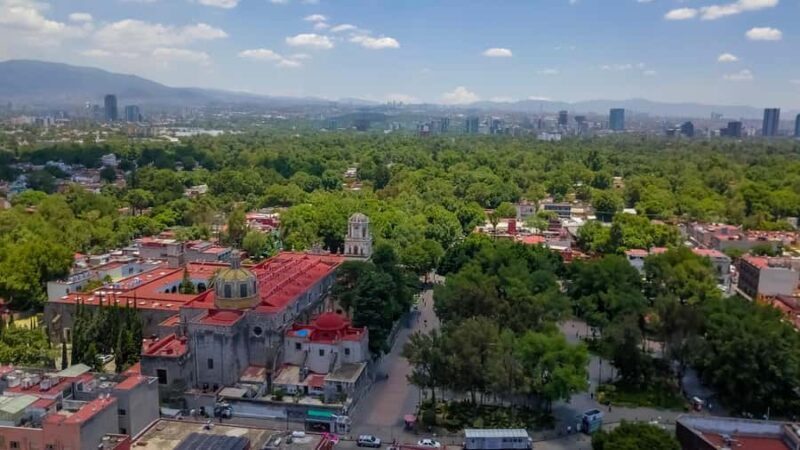 Mexico City: Frida Kahlo City Tour, with optional museum and Xochimilco - Xochimilco: The Canal Experience