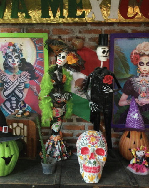 Mexico City: Frida Kahlo, Coyoacán, and Xochimilco Day Tour - Who Is This Tour Best For?