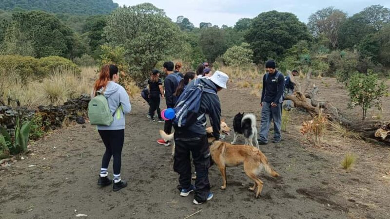 Mexico City: Guided Tour of the Caves of an Inactive Volcano - Exploring the Hidden World Beneath Mexico City
