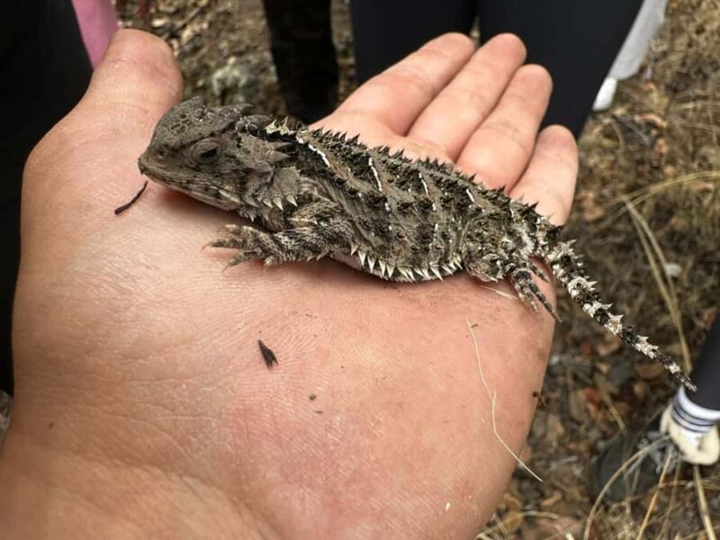 Mexico City: Guided Tour of the Caves of an Inactive Volcano - Who Should Consider This Tour?