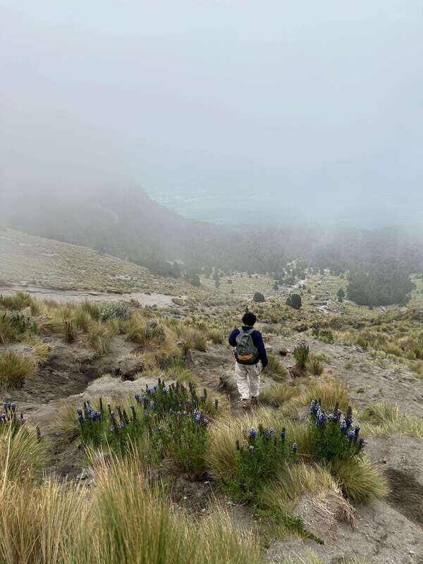 Mexico City: Hiking to la Malinche private day tour - Key Points