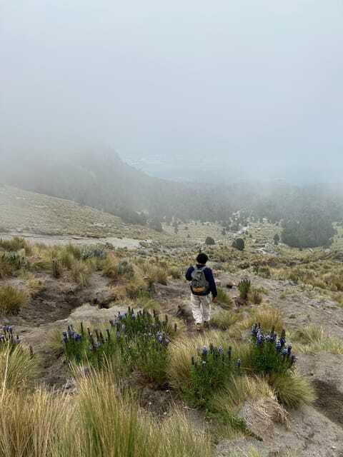 Mexico City: Hiking to la Malinche private day tour - Practical Tips for Your Climb