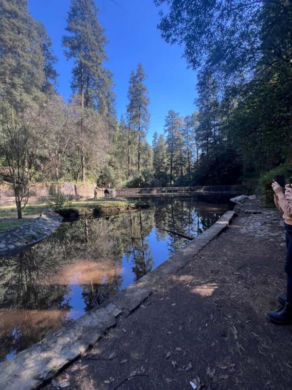 Mexico City: Hiking tour to the Desert of the Lions - A Nature Escape With a Cultural Twist