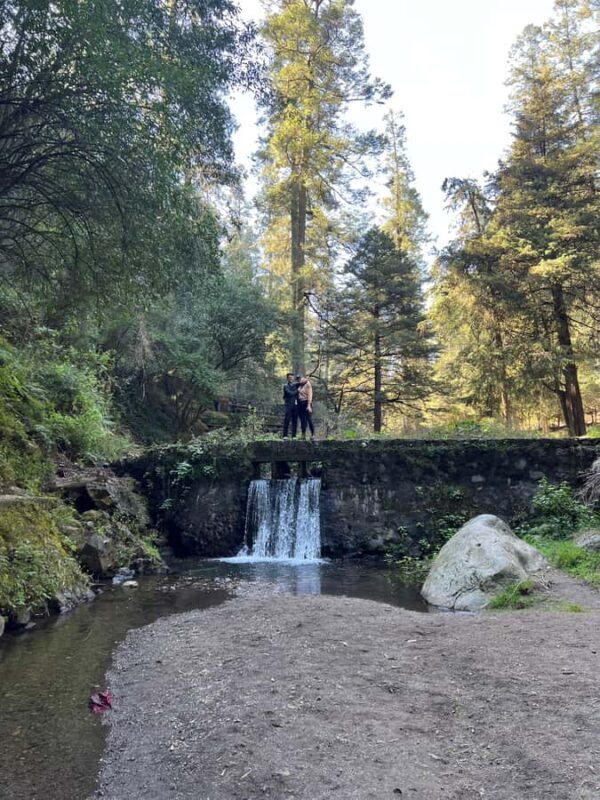 Mexico City: Hiking tour to the Desert of the Lions - Practical Details and What to Bring