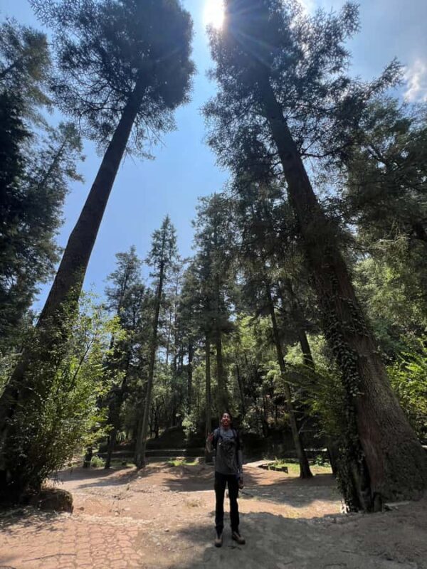 Mexico City: Hiking tour to the Desert of the Lions - Who Will Love This Tour?